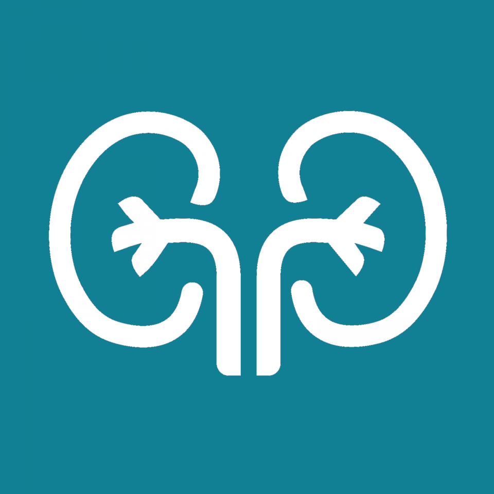 Was ist eine Nierenerkrankung? - DaVita